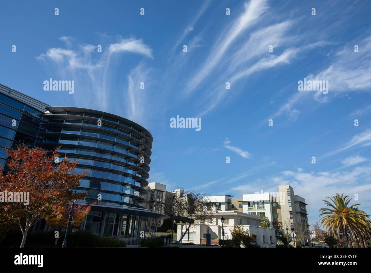 Autumn tree framed view of the downtown skyline of Milpitas, California ...