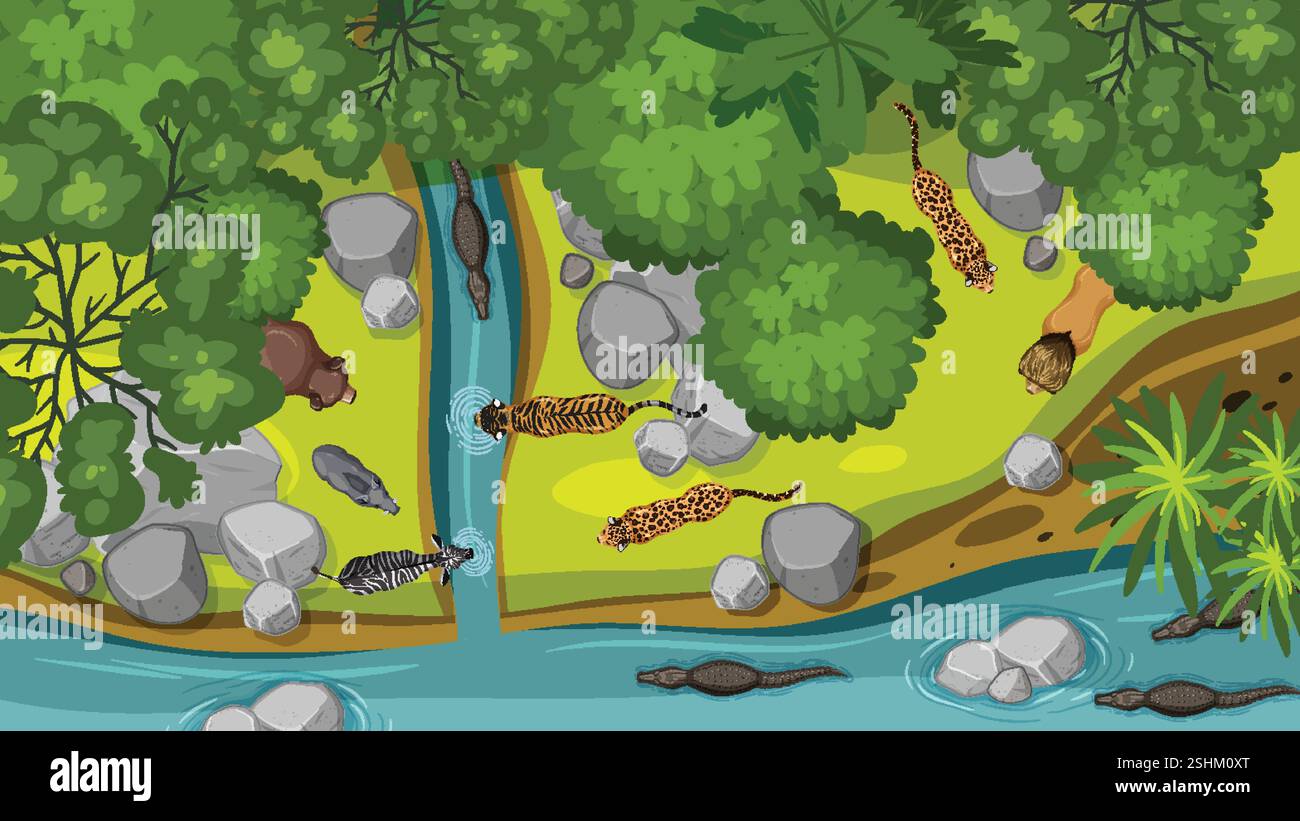 Animals gather by a river in dense forest Stock Vector Image & Art - Alamy