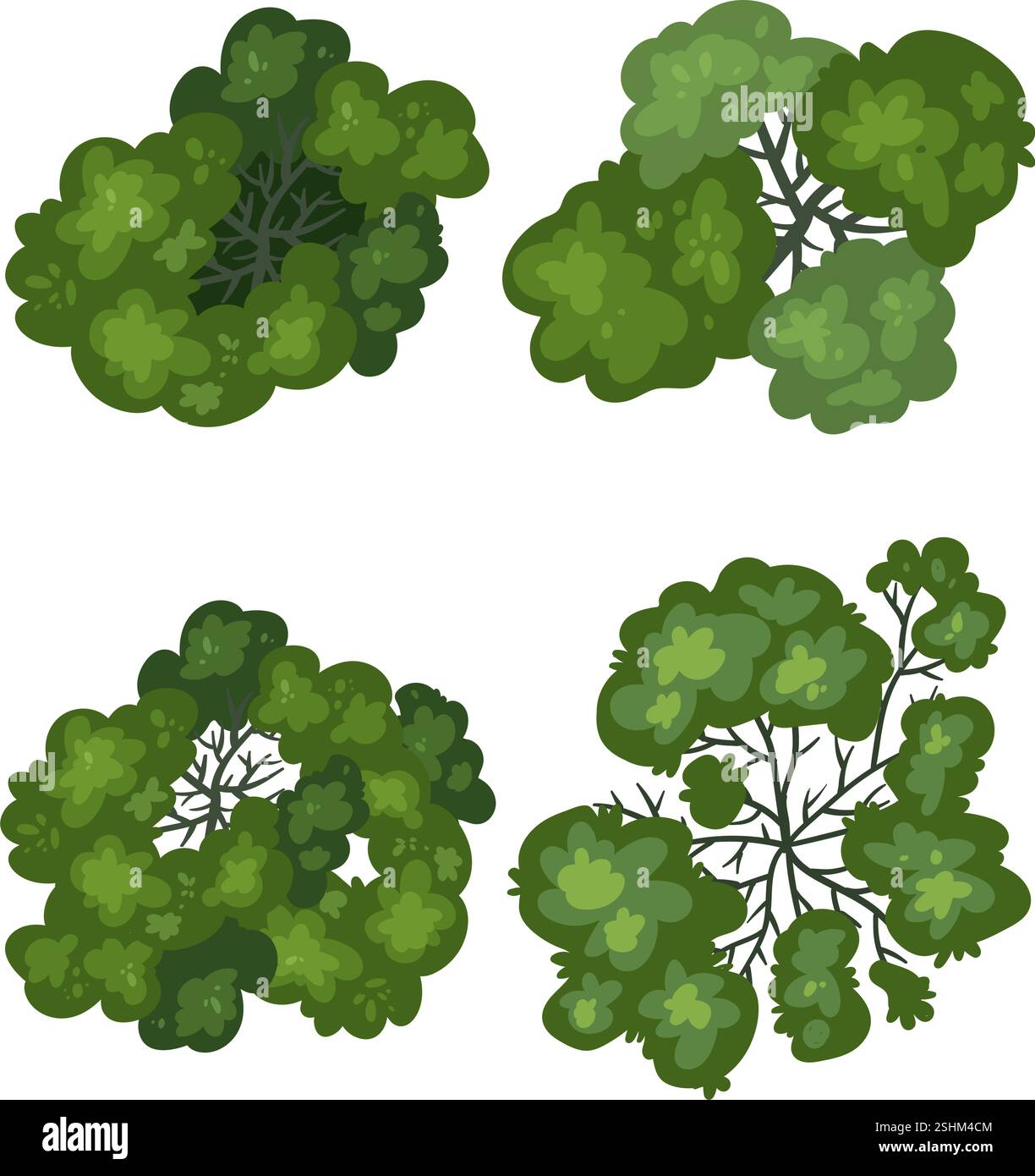 Illustration of various green plants from above Stock Vector Image ...