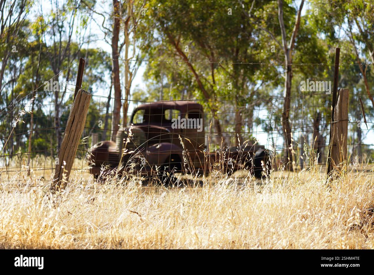A rusty vintage truck is seen in the distance, lying abandoned, amongst ...