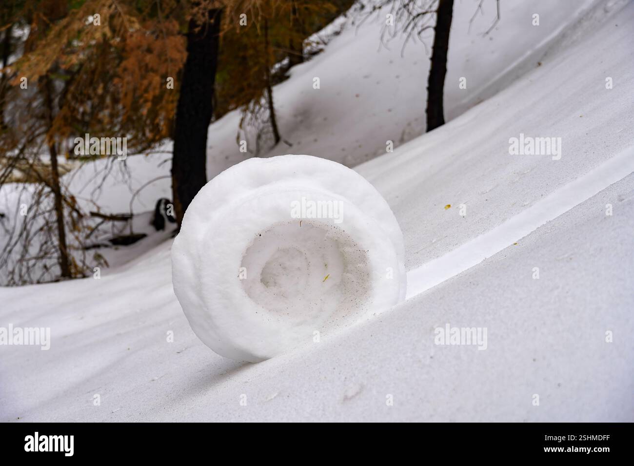 A large snowball moves down a sloping hill covered with fresh snow ...
