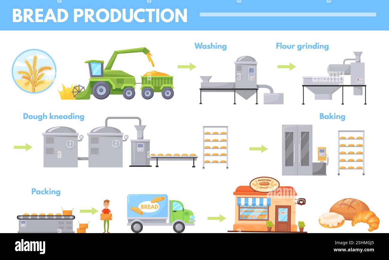 Cartoon bread production. Bakery products making process factory line ...