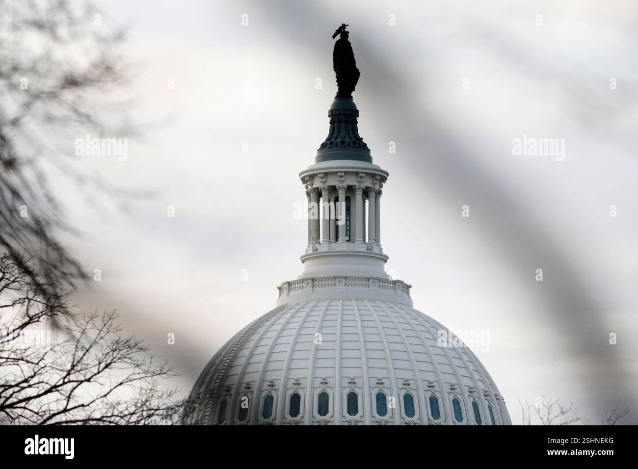 Washington, D.C, California, USA. 9th Feb, 2025. The Statue of Freedom ...