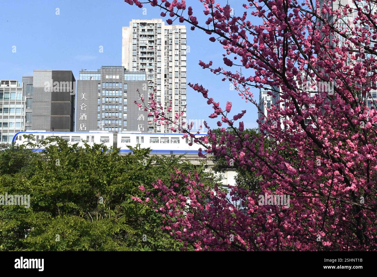 **CHINESE MAINLAND, HONG KONG, MACAU AND TAIWAN OUT** A monorail train ...