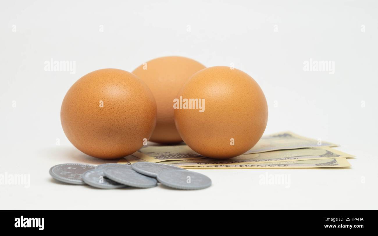 Eggs with money under them represent business inflation and the rising ...