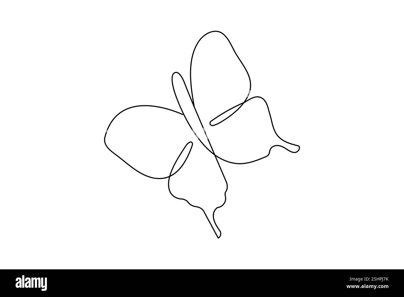 Butterfly continuous one line drawing and simple isolated outline ...