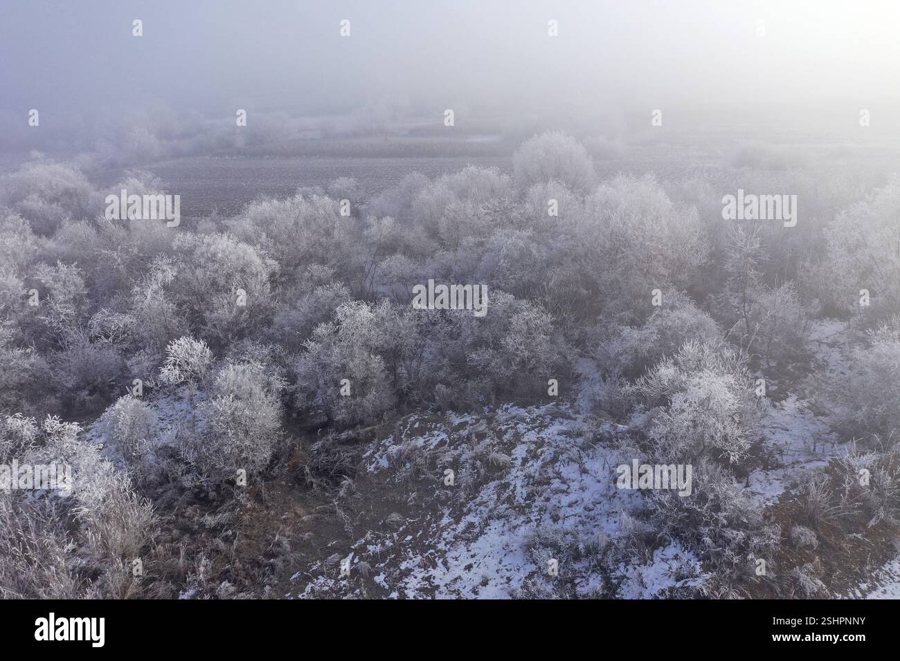 Flying over frosty winter hills and forest by drone Stock Photo - Alamy
