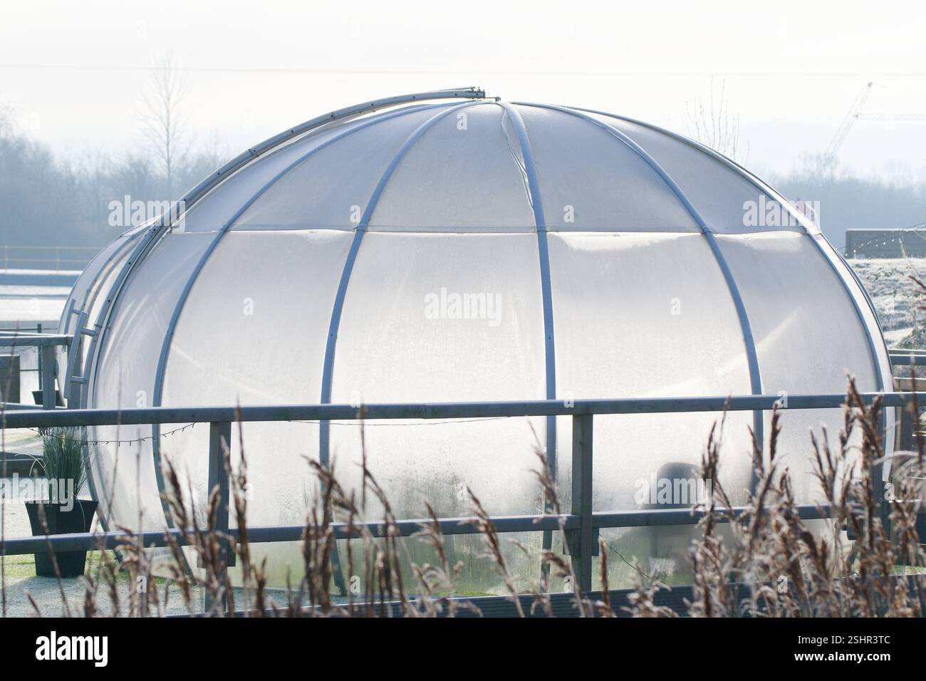 Plastic dining dome in winter Stock Photo - Alamy
