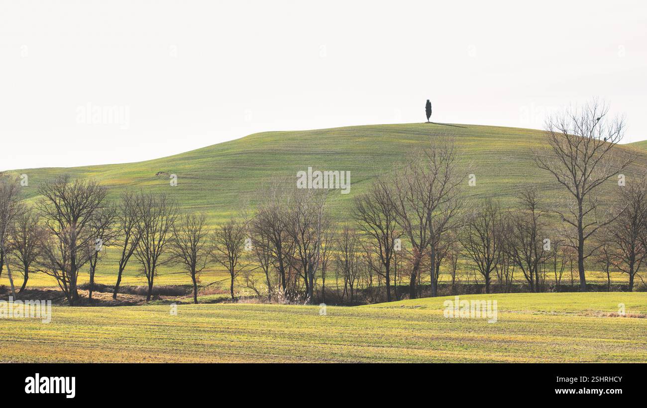 Natural landscape typical of Tuscany in Italy Stock Photo - Alamy