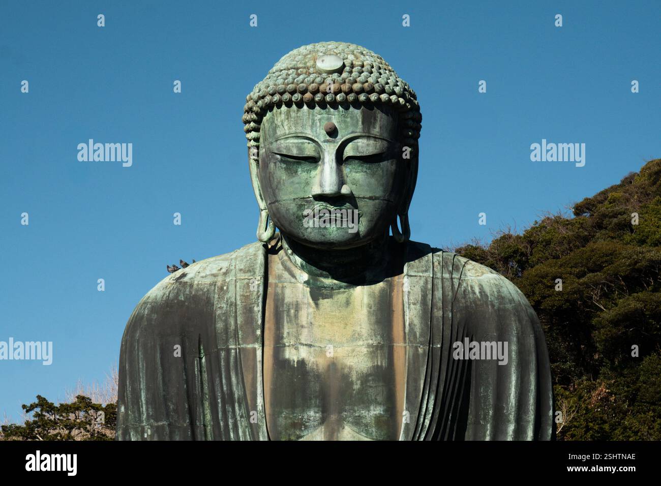 The great buddha of Kamakura Stock Photo - Alamy