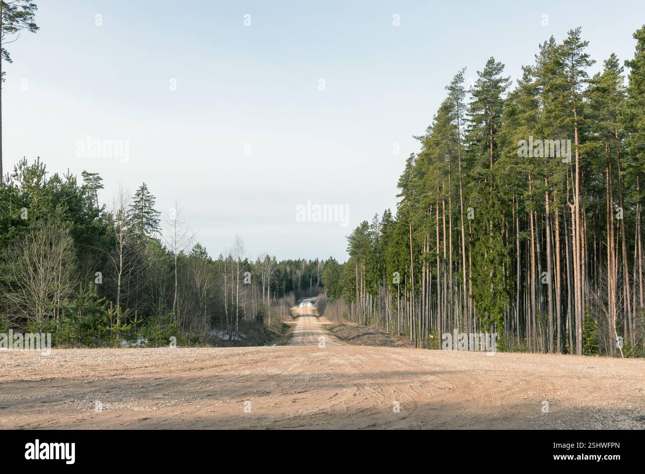 a long, straight road running through the forest, with trees on either ...