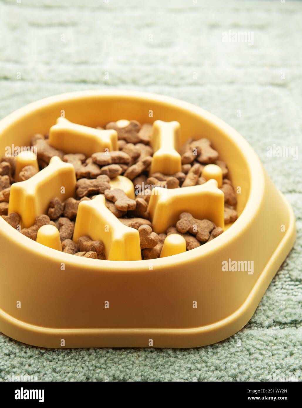 Dry dog food and bone shaped treats in a slow feeder bowl, promoting ...