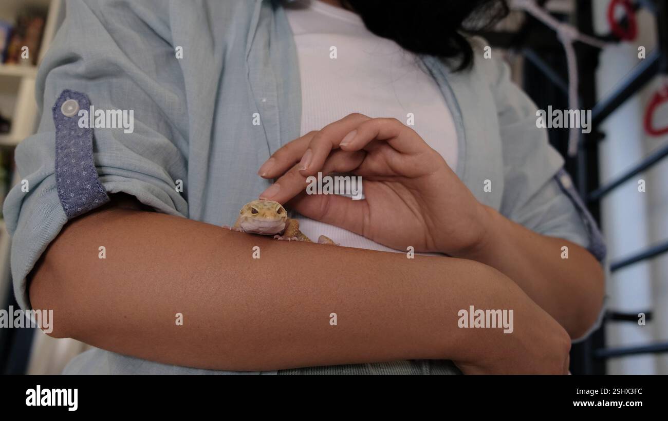 A small gecko perches on a person's arm, creating a serene connection ...