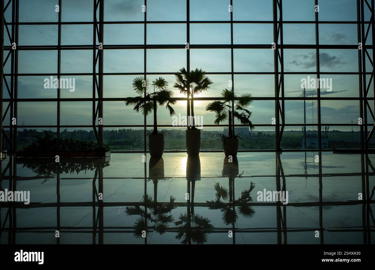 Silhouette of giant window and potted plants with its reflection at ...