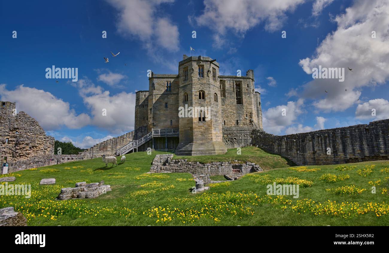 Photo of the picturesque medieval Warkworth Castle, 1157–1164, sited ...