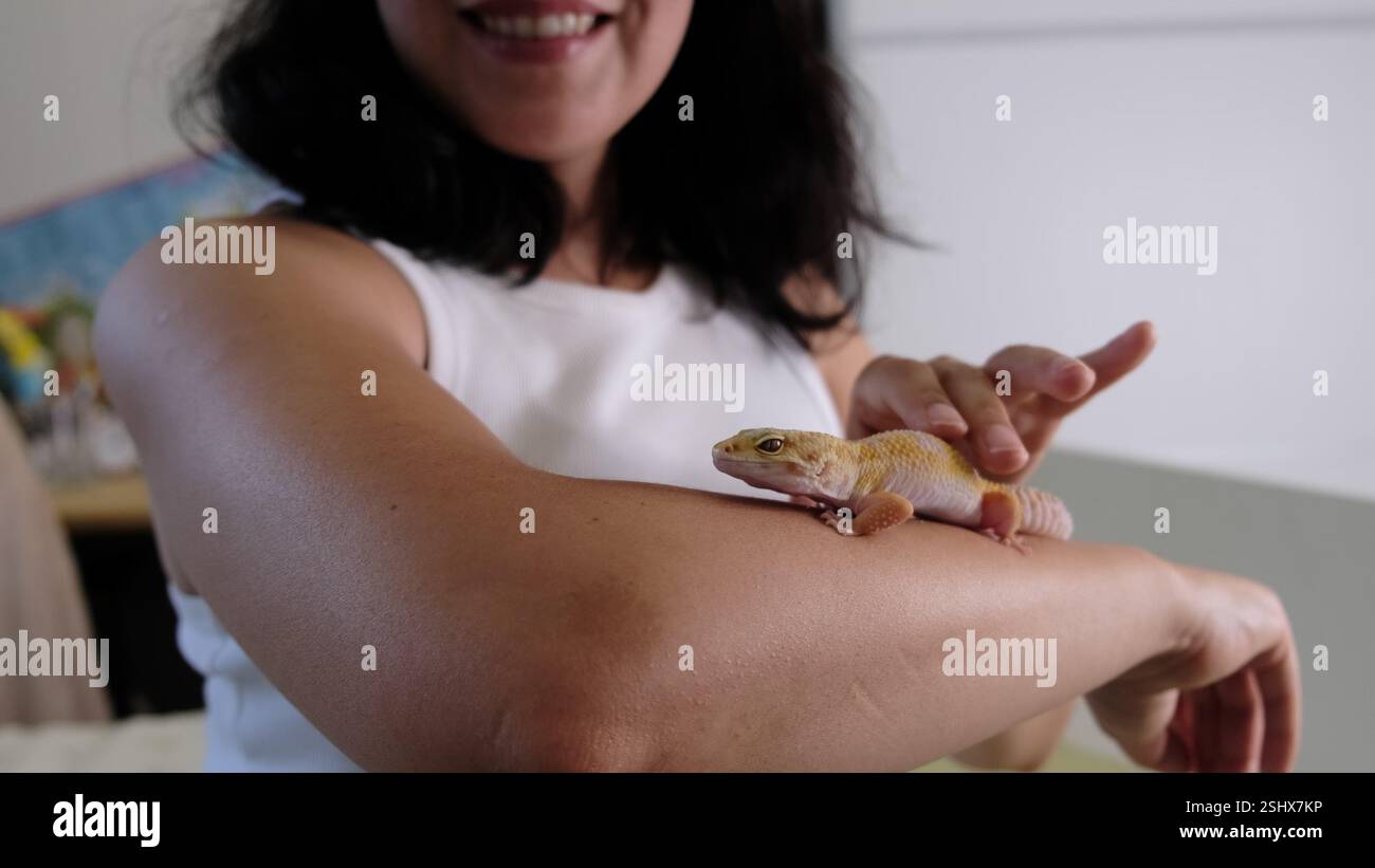 A leopard gecko sits calmly on a woman's arm as she carefully interacts ...