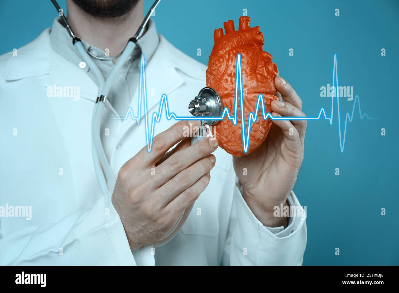 Cardiology. Doctor holding anatomical model of heart and stethoscope on ...
