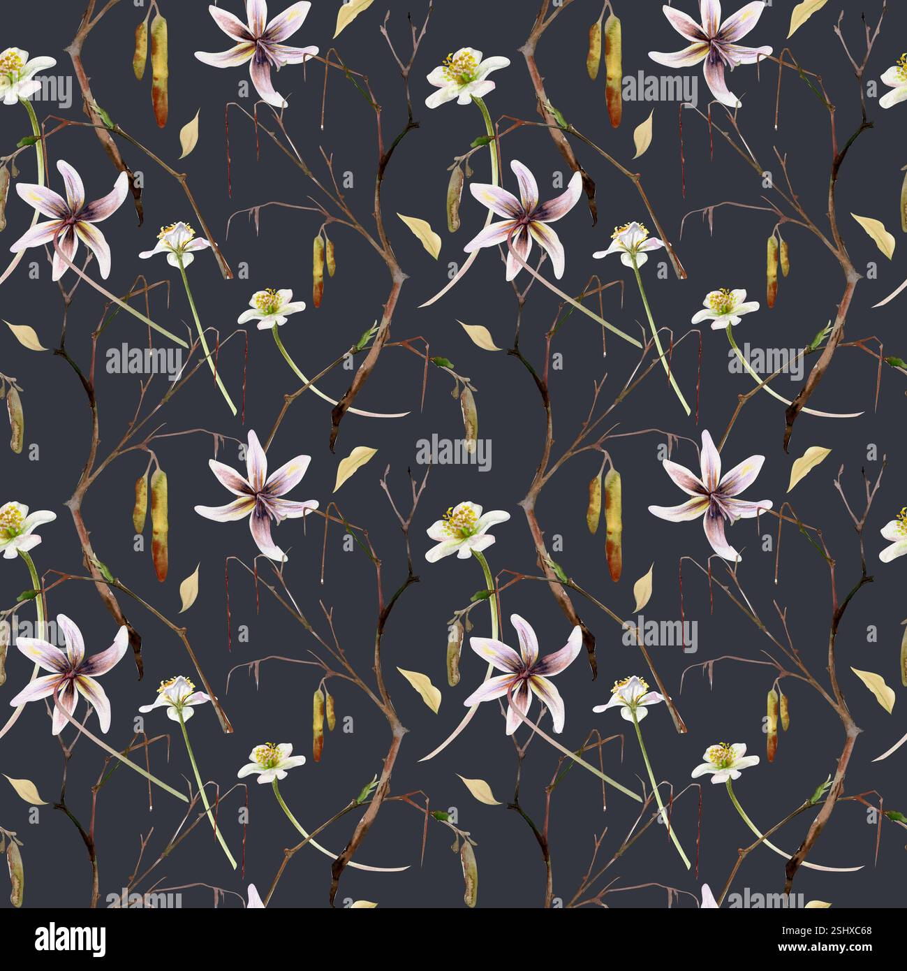 Branch with catkins, spring flowers white forest anemone primrose, fawn ...