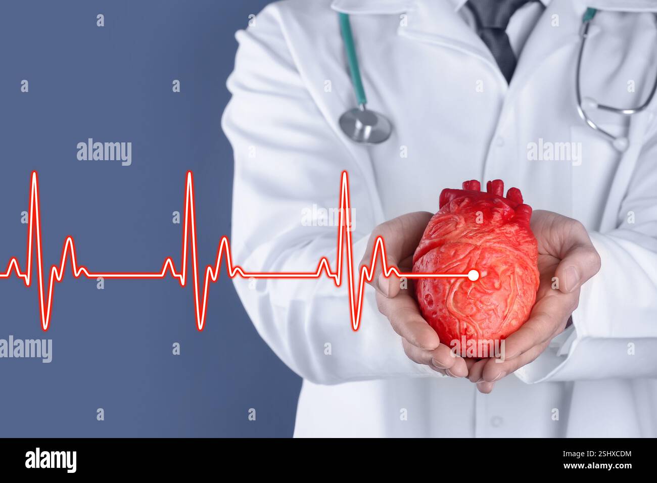 Cardiology. Doctor holding anatomical model of heart on color ...