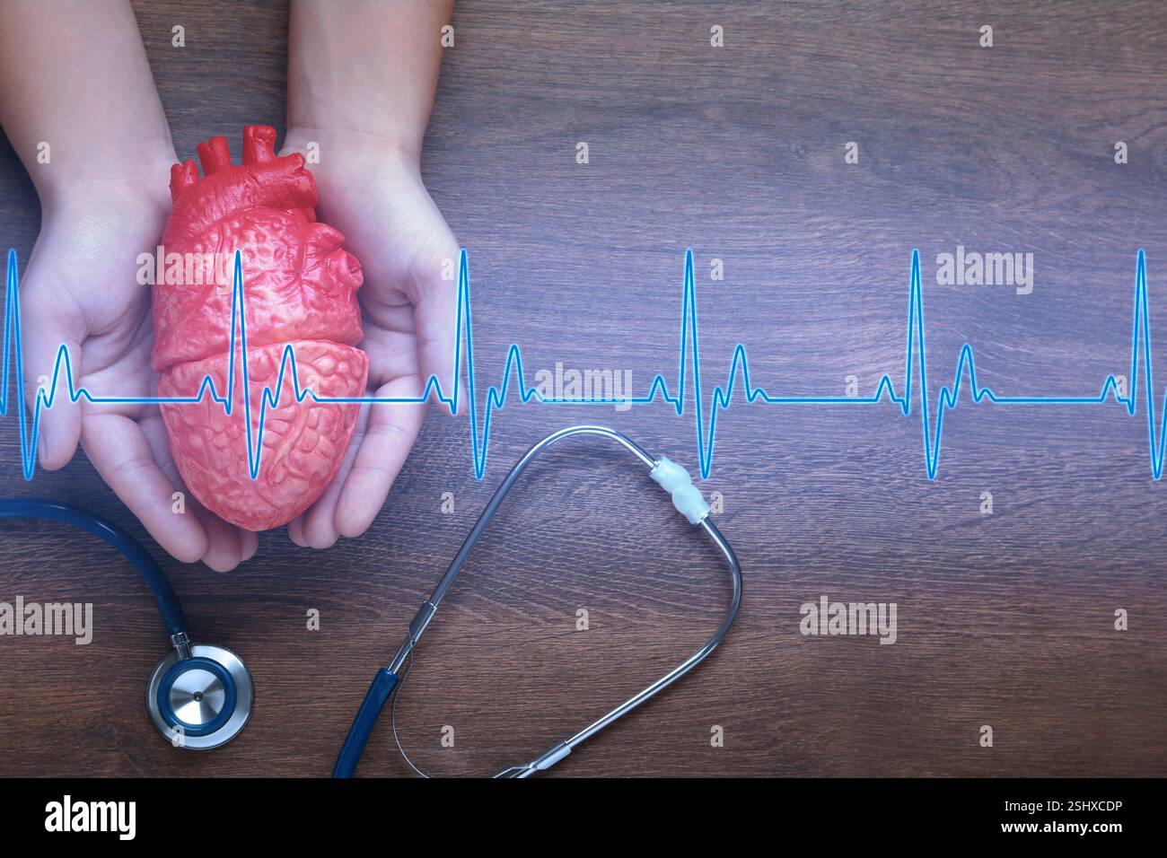 Cardiology. Doctor holding anatomical model of heart on wooden table ...