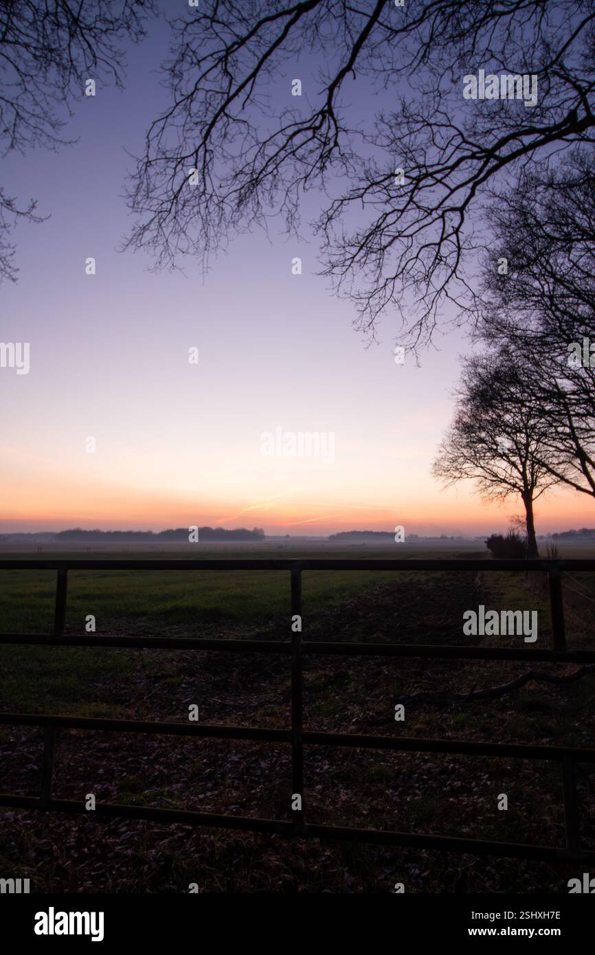 Sunset above the meadows, blue hour, evening photography, trees and ...