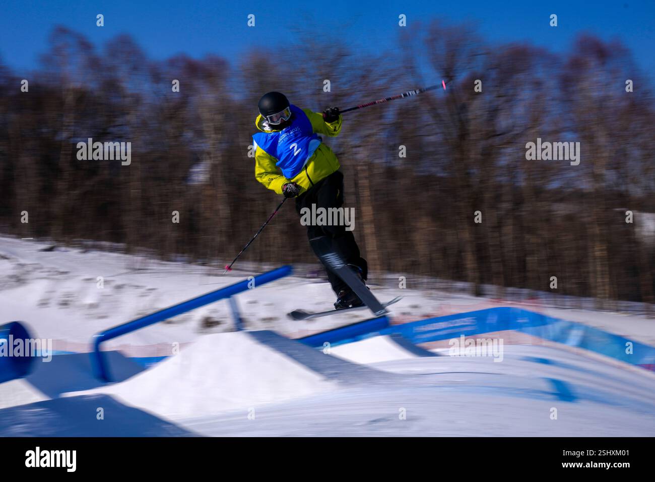 Lin Hao of China competes in the Men's Freeski Slopestyle at the 9th ...