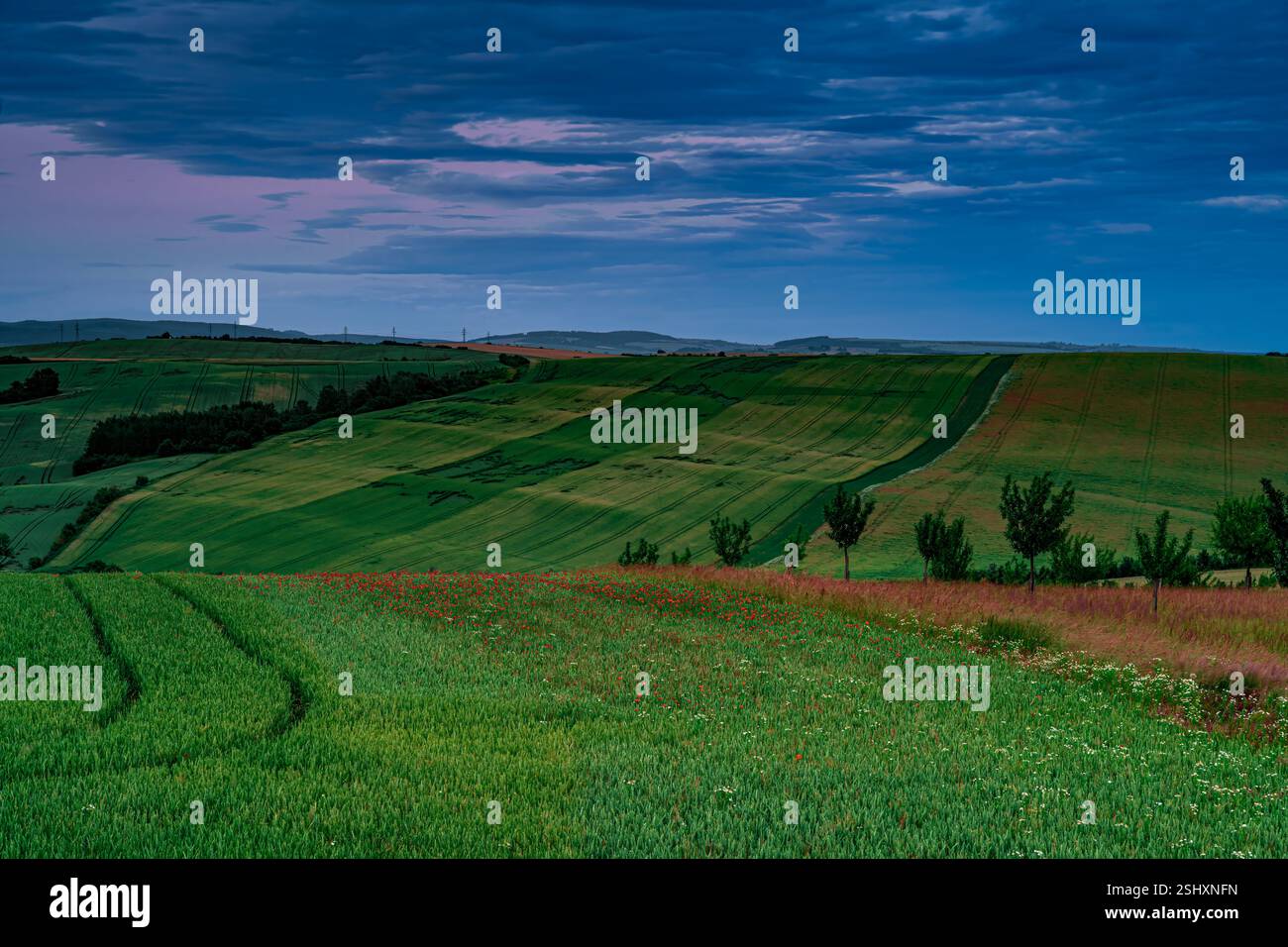 Moravia meadows and fields Stock Photo - Alamy