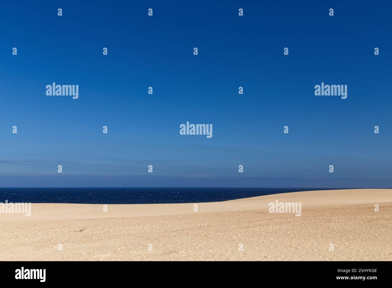 Endless Dunes and Deep Blue Sea Stock Photo - Alamy