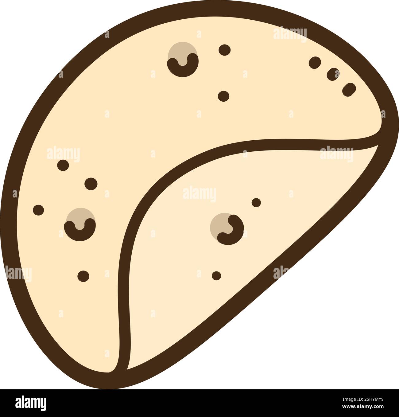 Tortilla vector doodle illustration and graphic Stock Vector Image ...