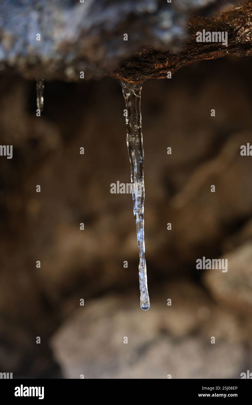 small natural icicle with a dripping drop of water at the end Stock ...