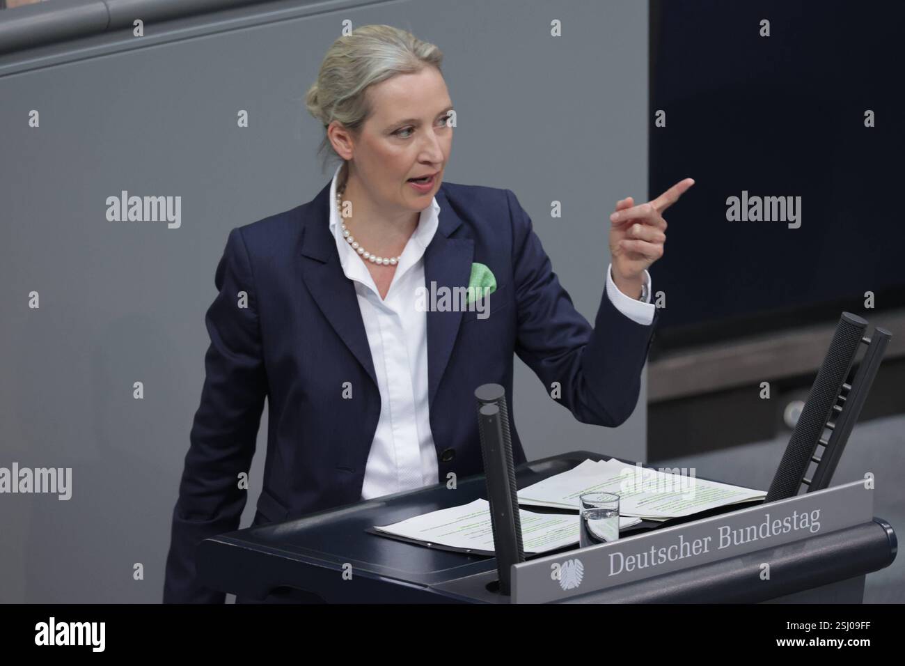 Alice Weidel, Co-Vorsitzende der AfD-Bundestagsfraktion, 212 ...