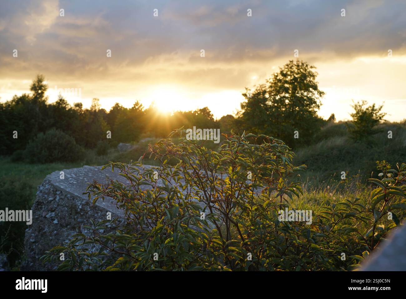 A breathtaking countryside landscape bathed in warm golden light, with ...