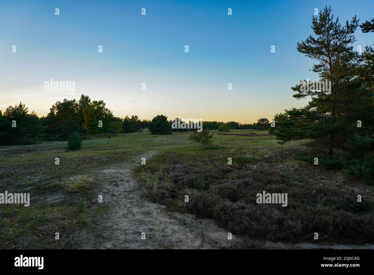 A breathtaking countryside landscape bathed in warm golden light, with ...