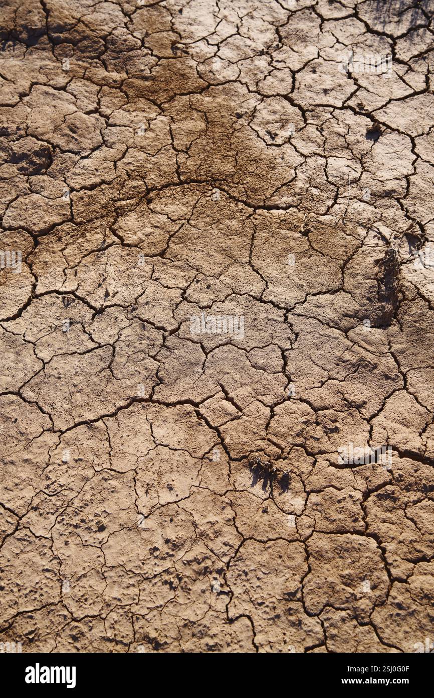 Ground level vertical shot hi-res stock photography and images - Alamy