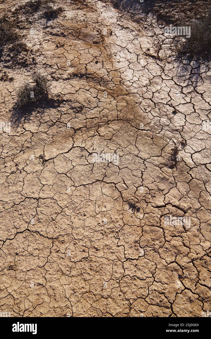 Ground level vertical shot hi-res stock photography and images - Alamy