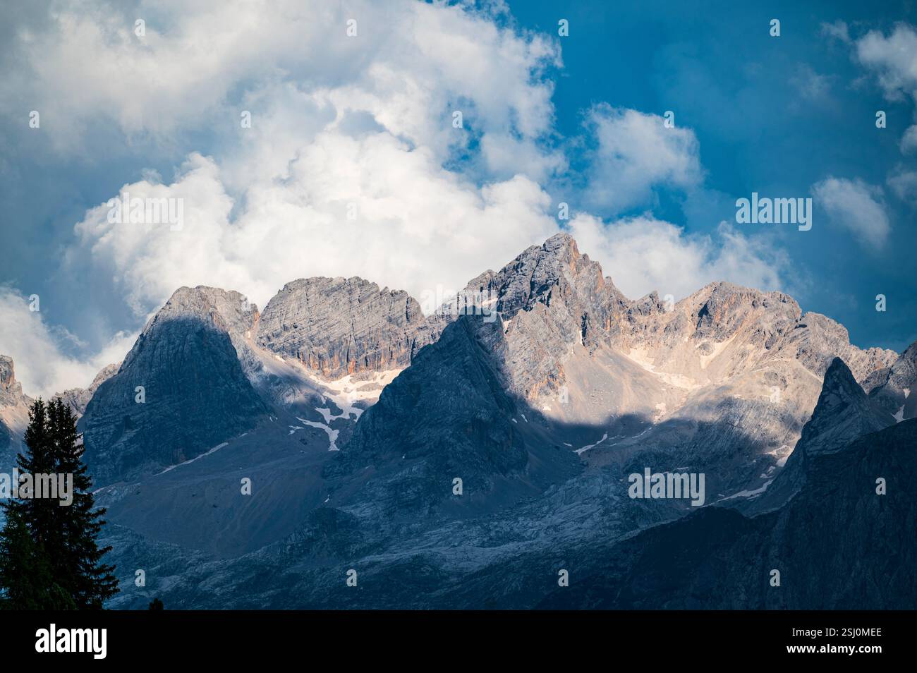 Environment, vegetation and nature of the Ampezzo Dolomites, dominated ...