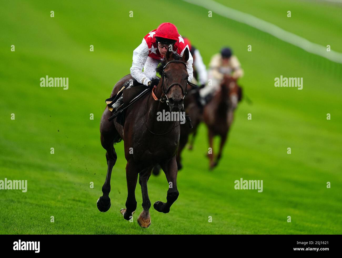 File photo dated 26-09-2024 of Al Nayyir. Tom Clover has said it is ...