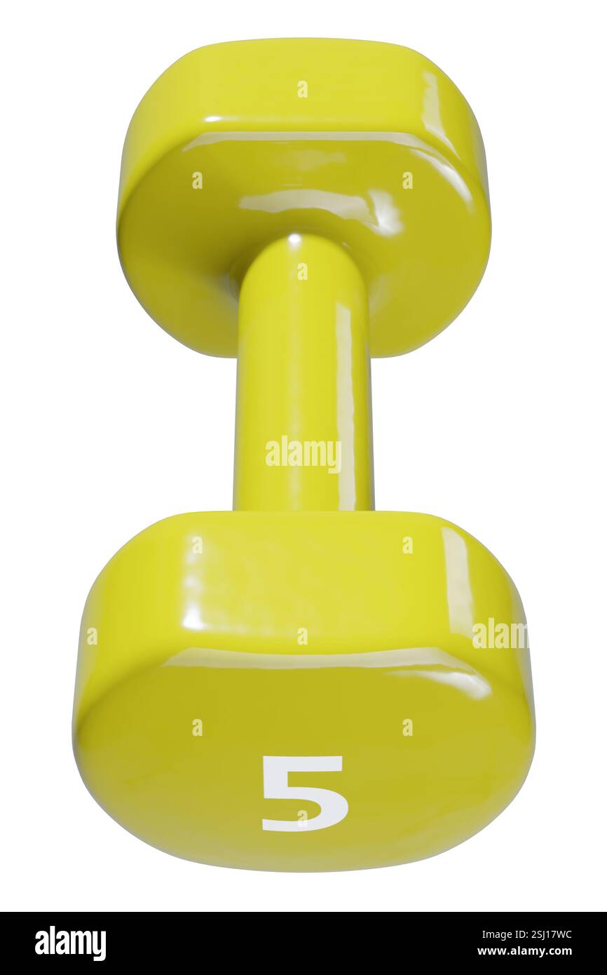 Round vinyl rubber Dumbbell, weightlifting gym equipment top view Stock ...