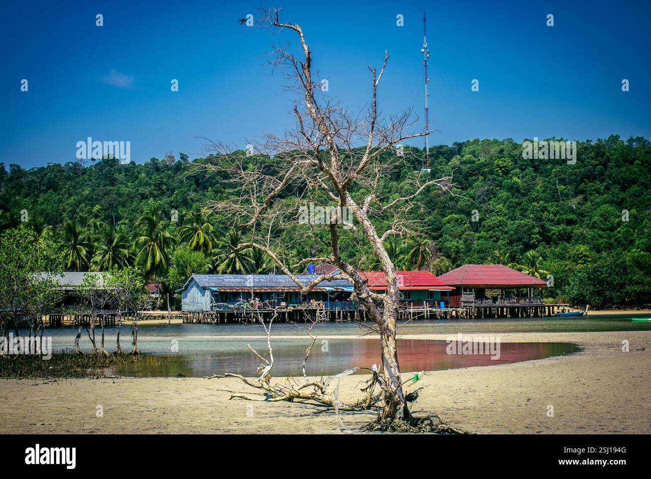 Preak Svay, Koh Rong Island, Cambodia, February 6, 2025 Daily life in ...