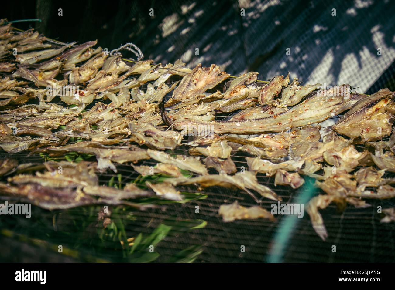 Preak Svay, Koh Rong Island, Cambodia, February 6, 2025 Daily life in ...