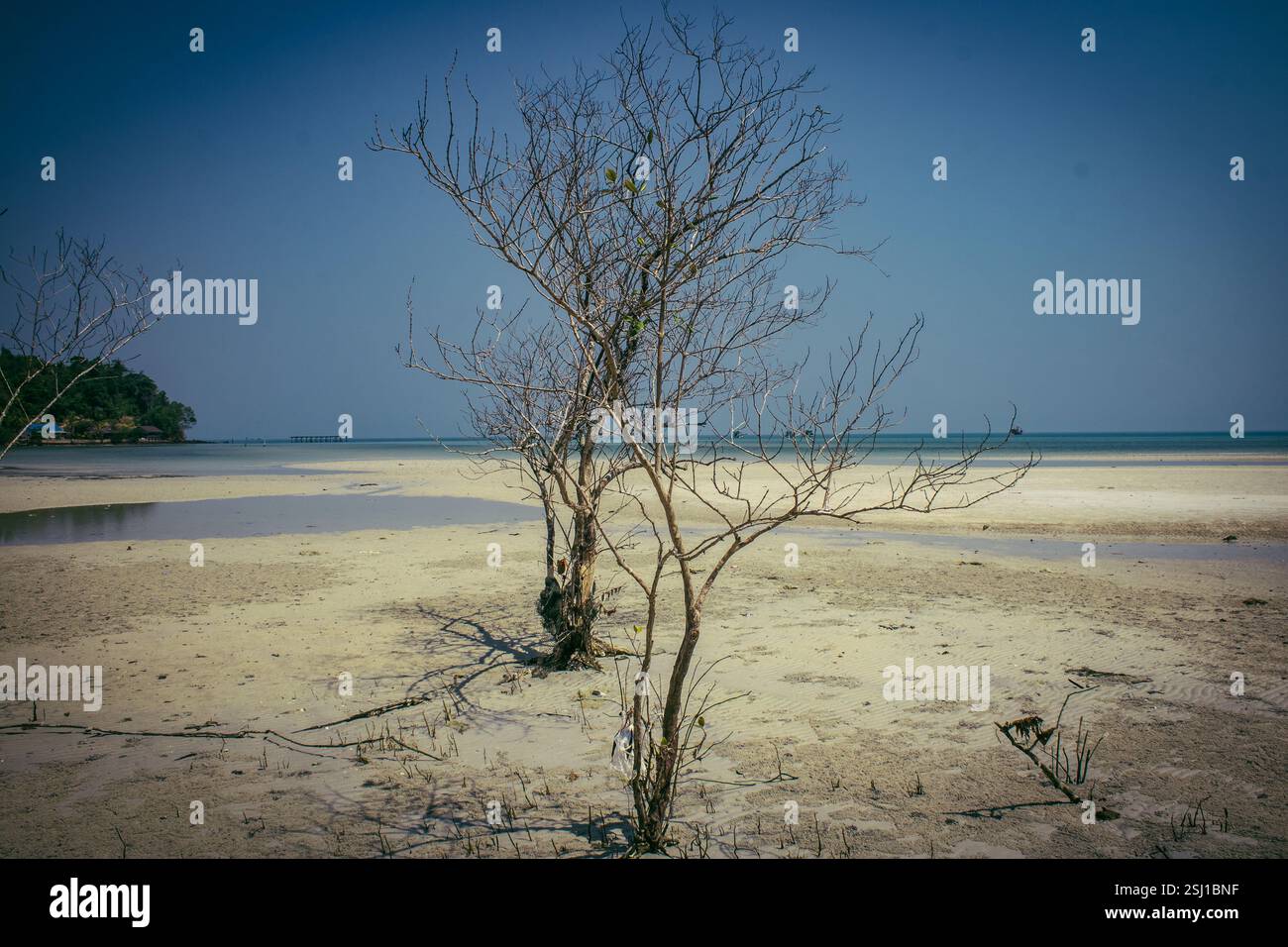 Preak Svay, Koh Rong Island, Cambodia, February 6, 2025 Daily life in ...