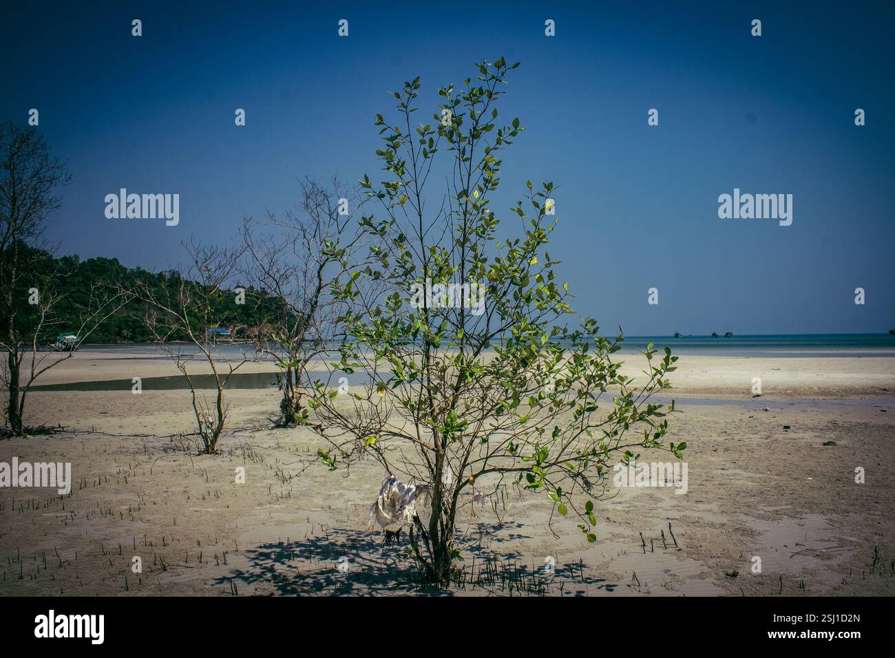 Preak Svay, Koh Rong Island, Cambodia, February 6, 2025 Daily life in ...
