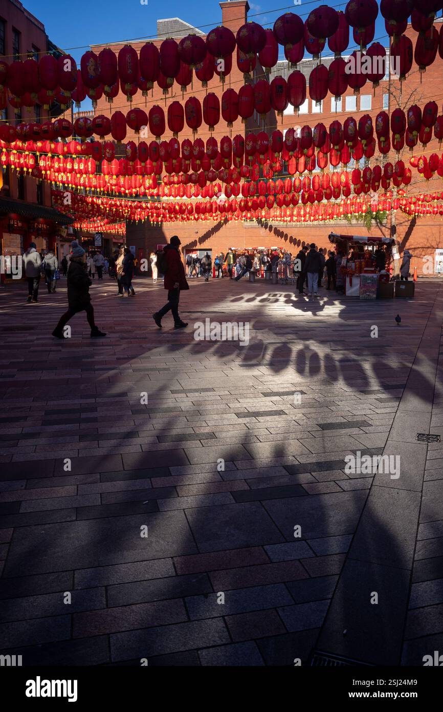 Chinese New Year celebration, Year of the Snake. London Stock Photo - Alamy