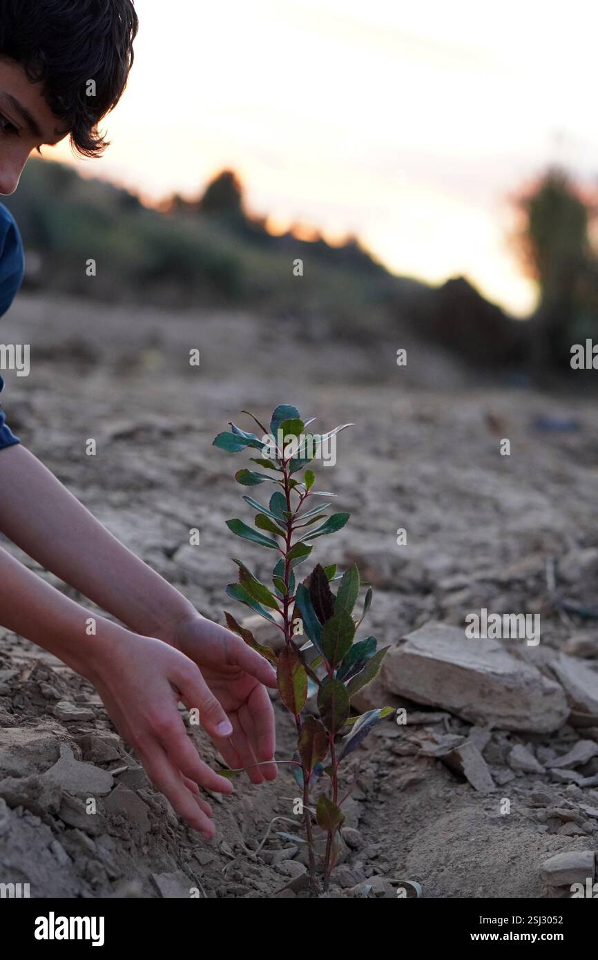child planting a sapling in a reforestation project in an area ...