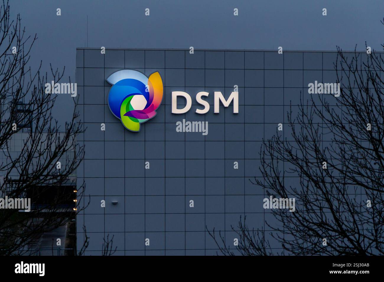 DSM logo, DSM is a Dutch multinational corporation active in the fields ...