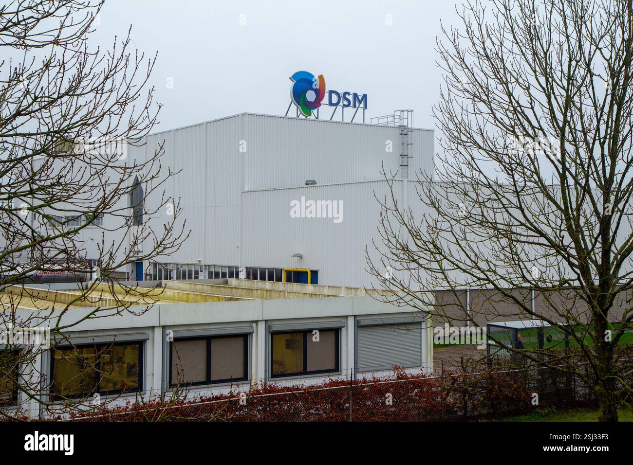 DSM logo, DSM is a Dutch multinational corporation active in the fields ...