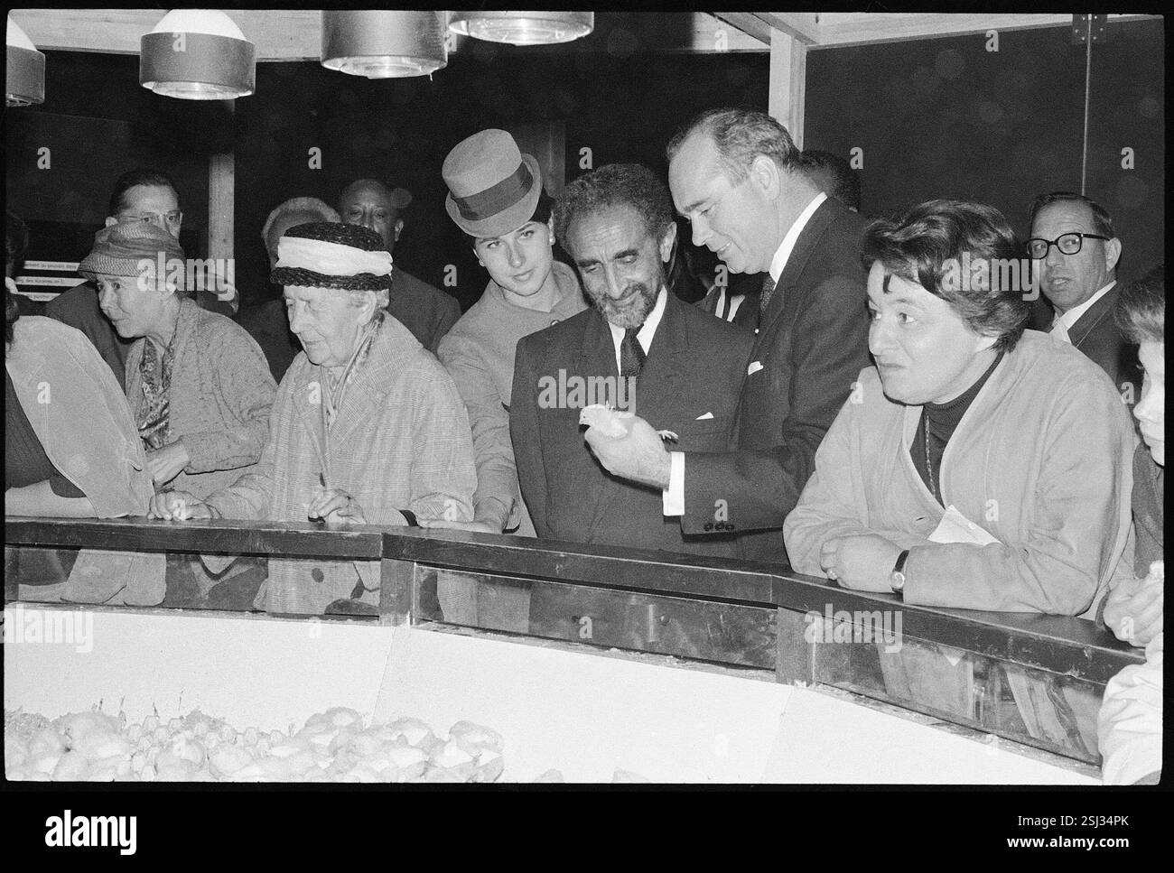 Direktor Ruckstuhl (r) zeigt Kaiser Haile Selassie ein Küken an der ...