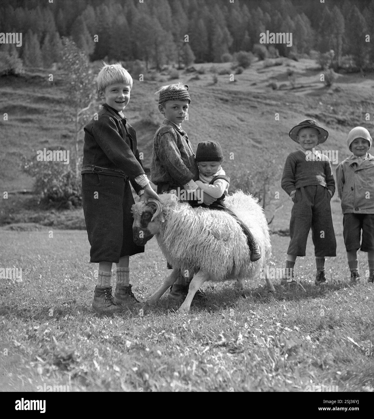 Kinder mit Schaf im Lötschental, 1948#Children with sheep in the ...