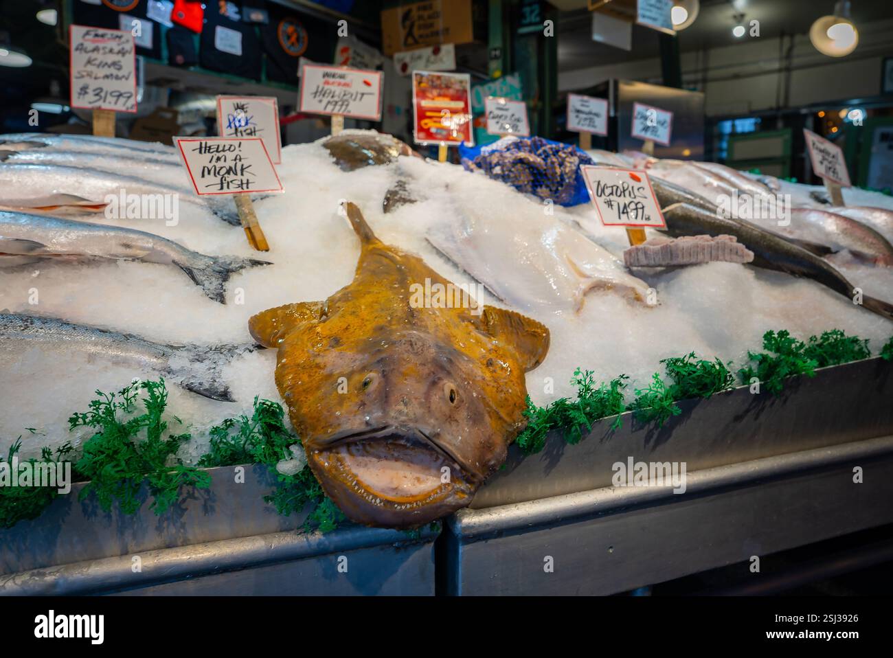 Seafood Display Featuring Monkfish at Pike Place Market, Seattle Stock ...