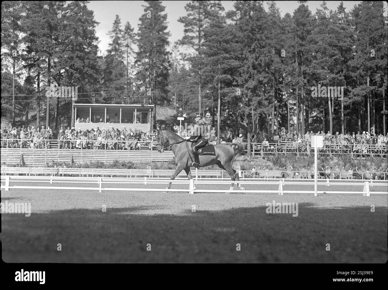 OS Helsinki 1952: Sieger Henri St. Cyr auf Master Rufus#Olympic Games ...